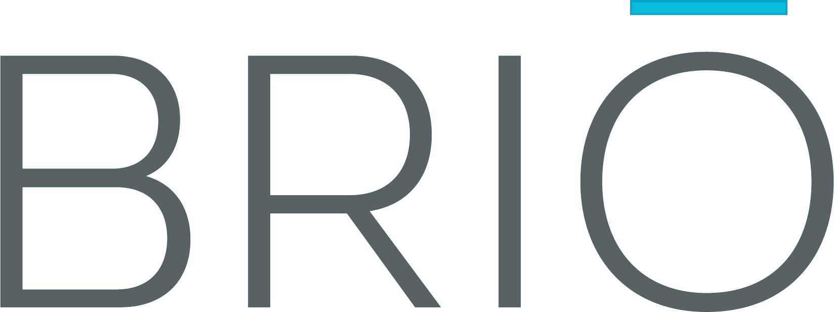 Brio Systems Careers and Employment